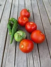 Exploring the History of Tomatoes in Italy and My Favorite Varieties ...