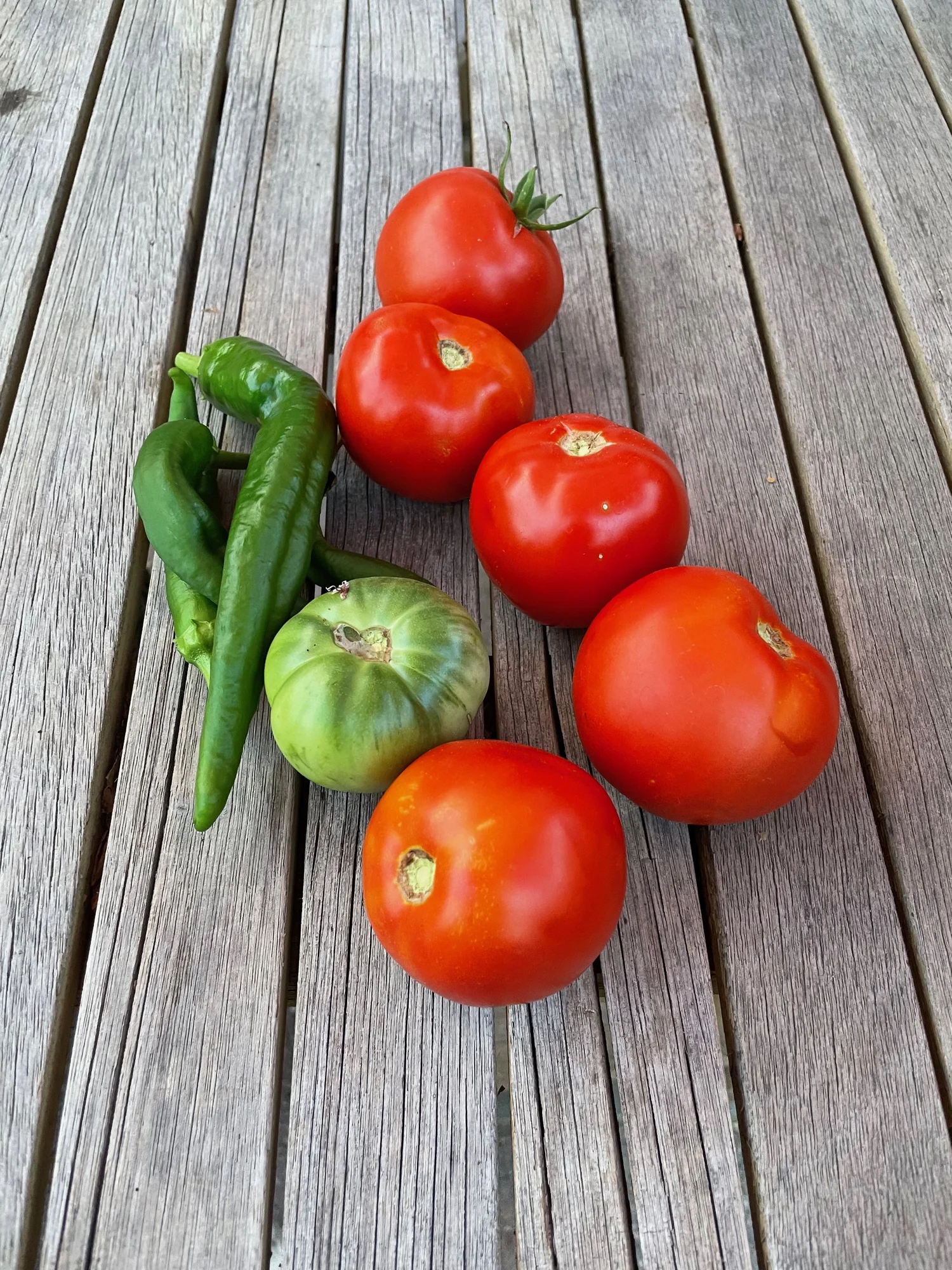 Exploring the History of Tomatoes in Italy and My Favorite Varieties ...