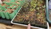 Essential Seed Starting Gear & Tools: Must-Have Equipment for Gardeners ...