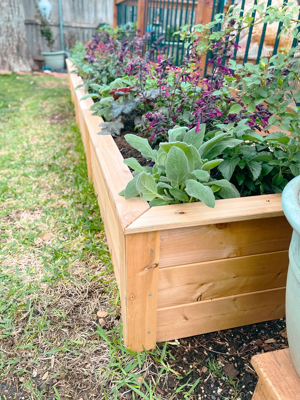 Eartheasy Cedar Raised Beds: Easy-to-Assemble, Customizable, and Built ...
