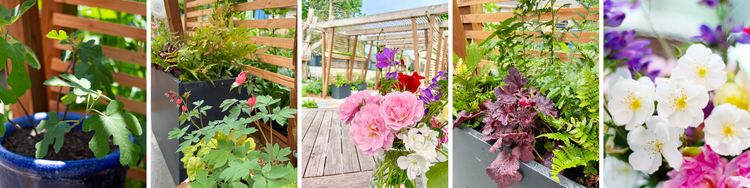 How to Build a Shade House or Pergola: Enhance Your Backyard Living ...