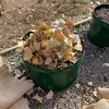 How to Make Leaf Mould: Easy Steps for Creating Rich, Organic Garden ...