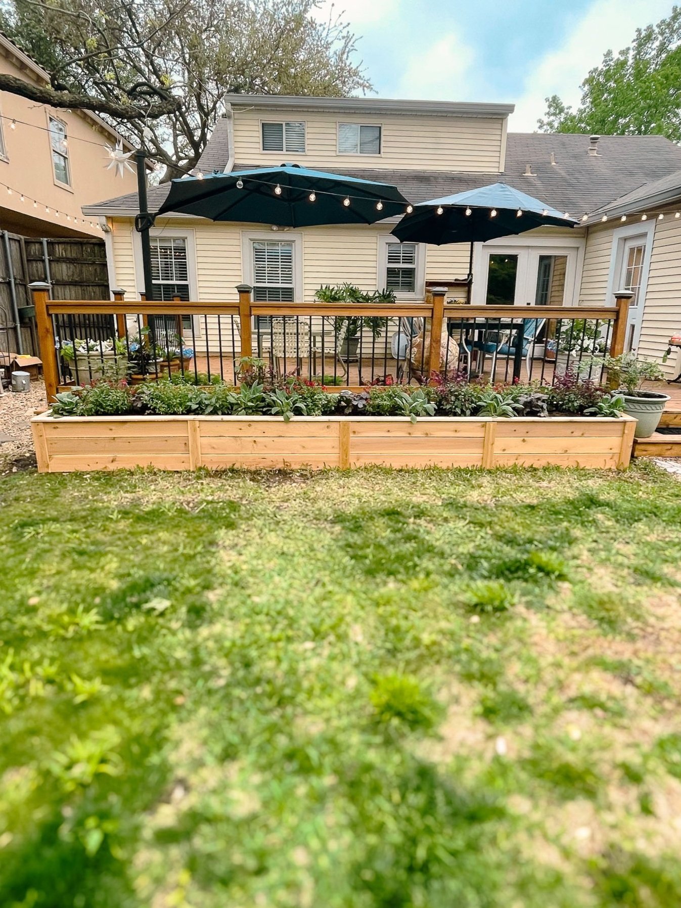 Eartheasy Cedar Raised Beds: Easy-to-Assemble, Customizable, and Built ...