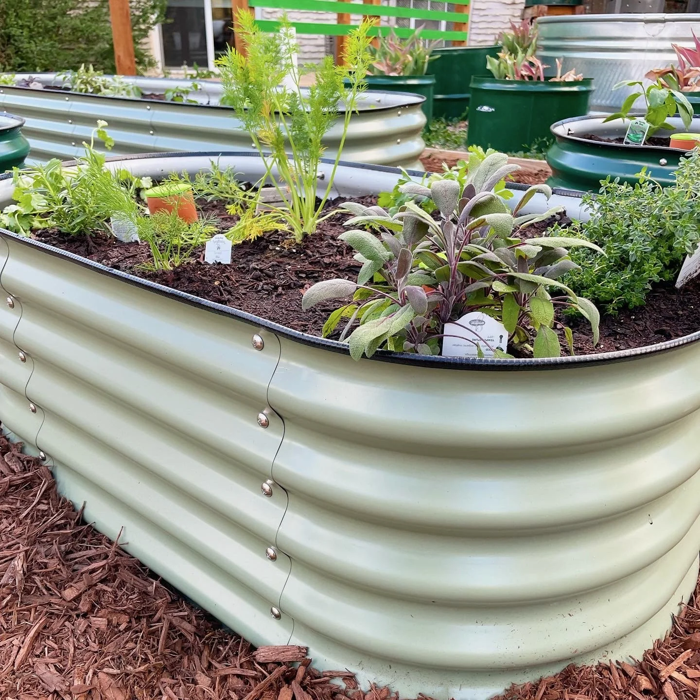 Birdie’s Beds: Durable, Easy-to-Use Raised Garden Beds for Every Grower ...