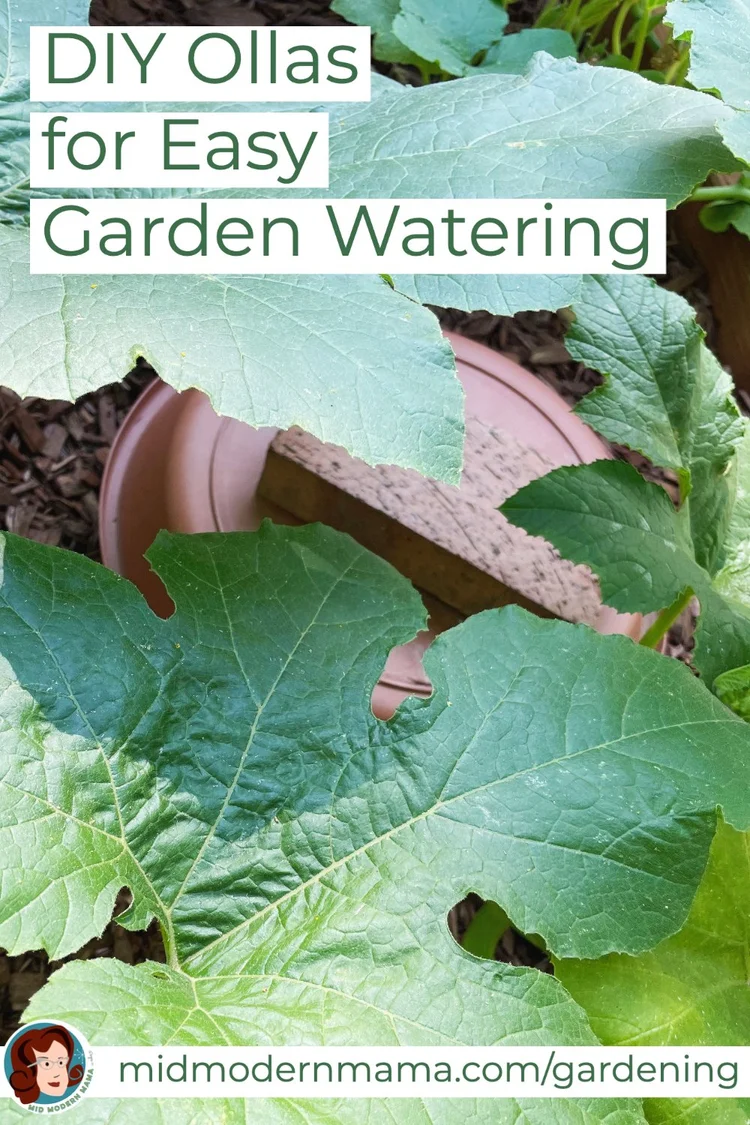 How to Make Your Own Ollas: DIY Guide for Sustainable Plant Watering ...