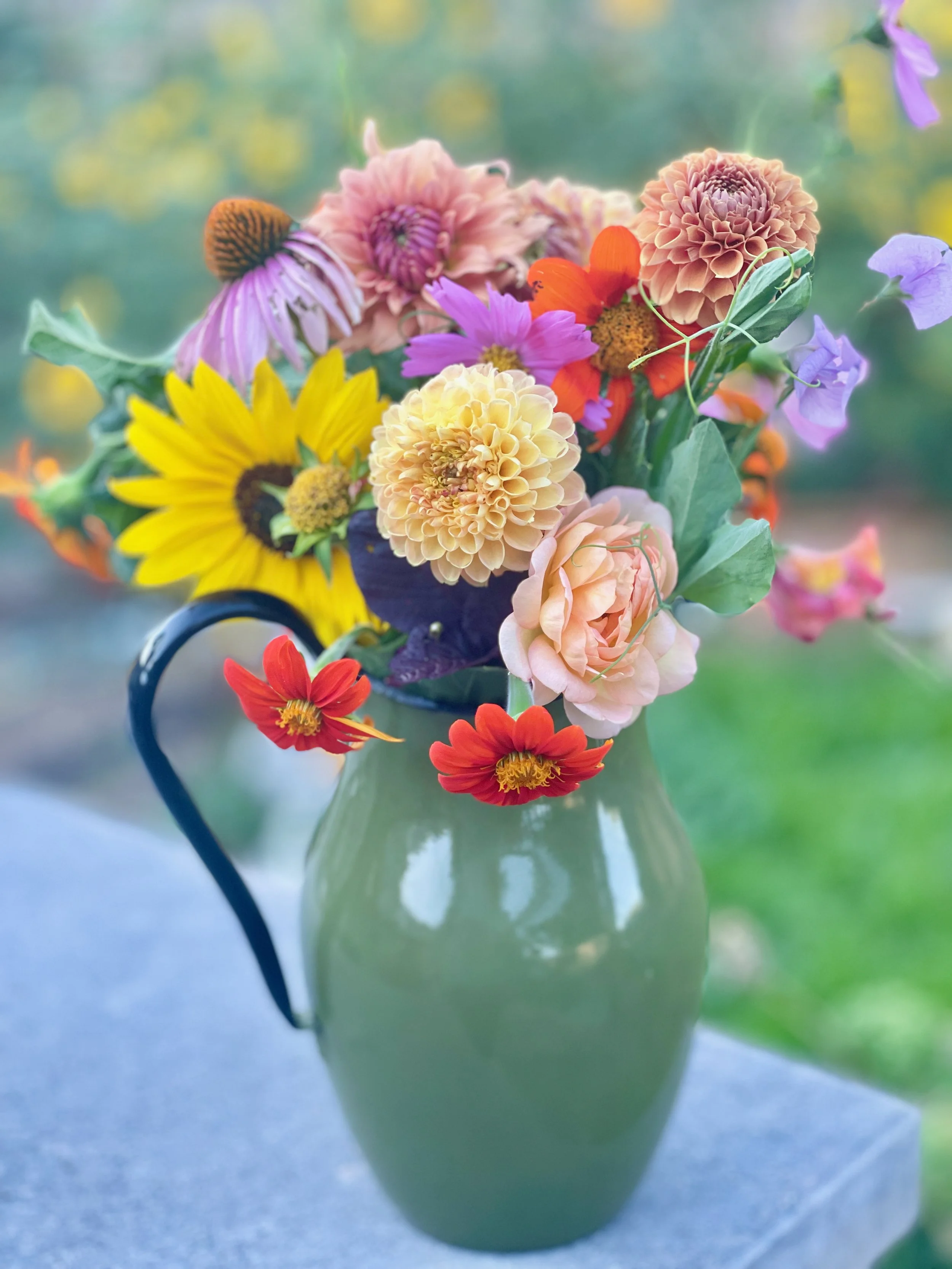 Why Gardeners Should Plant Tithonia: Benefits for Your Garden and ...