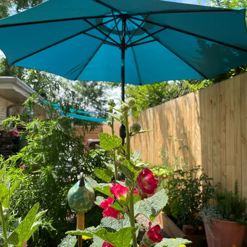 How to Build a Shade House or Pergola: Enhance Your Backyard Living ...