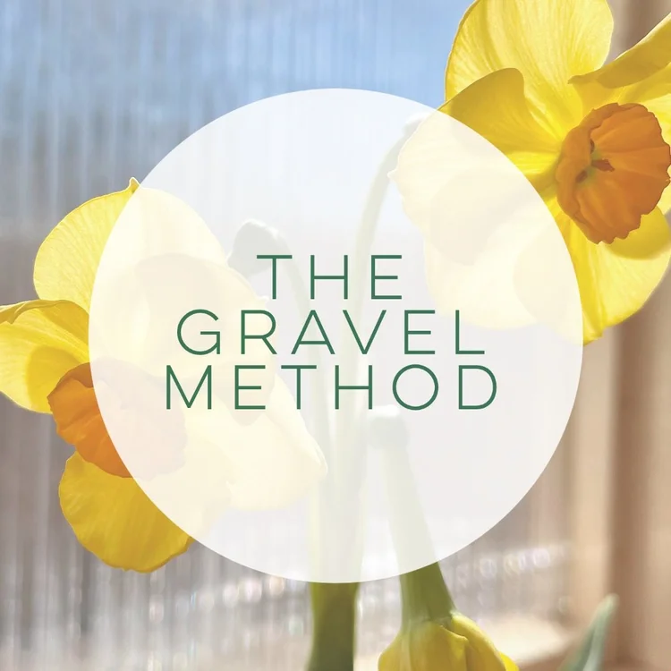 How to Force Bulbs Indoors: an Easy Guide — Wild Revival Garden & Home