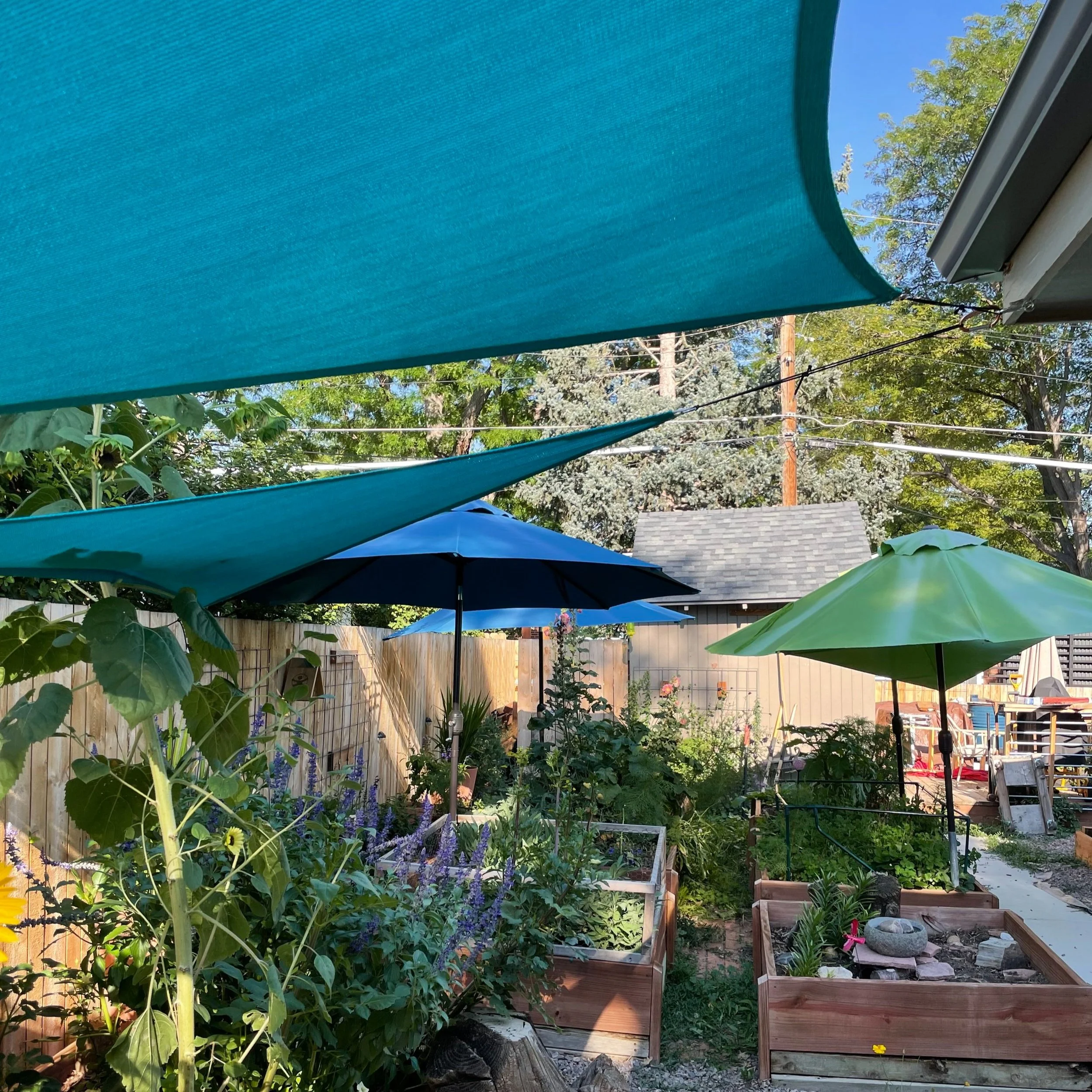How to Build a Shade House or Pergola: Enhance Your Backyard Living ...