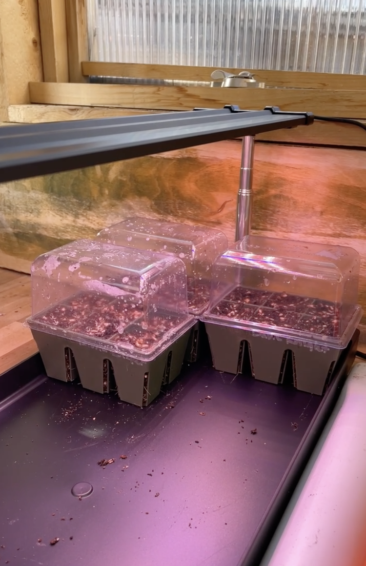 Essential Seed Starting Gear & Tools: Must-Have Equipment for Gardeners ...