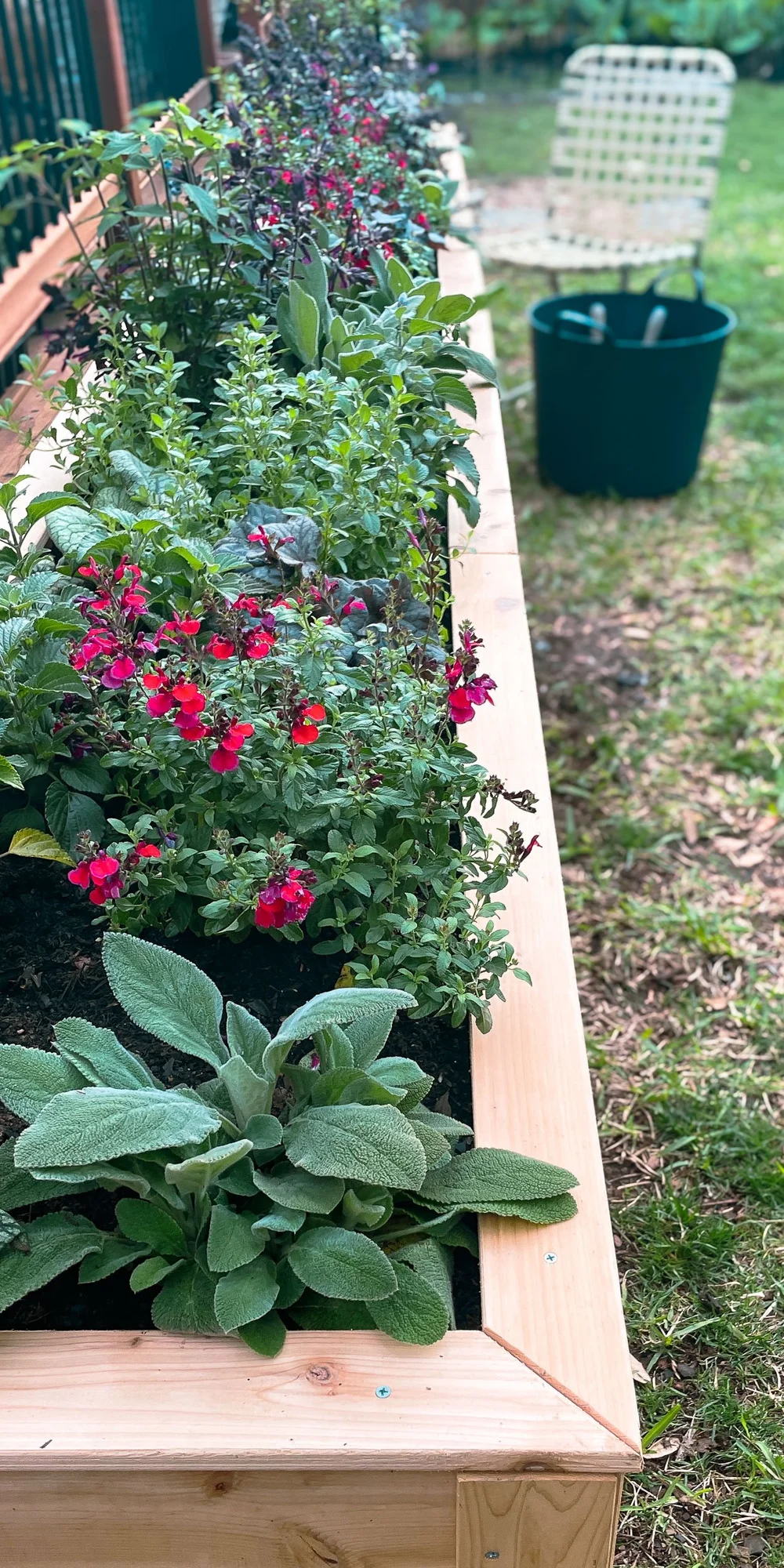 Eartheasy Cedar Raised Beds: Easy-to-Assemble, Customizable, and Built ...