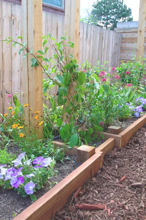 How to Build a DIY Raised Garden Bed: Step-by-Step Guide for Beginners ...