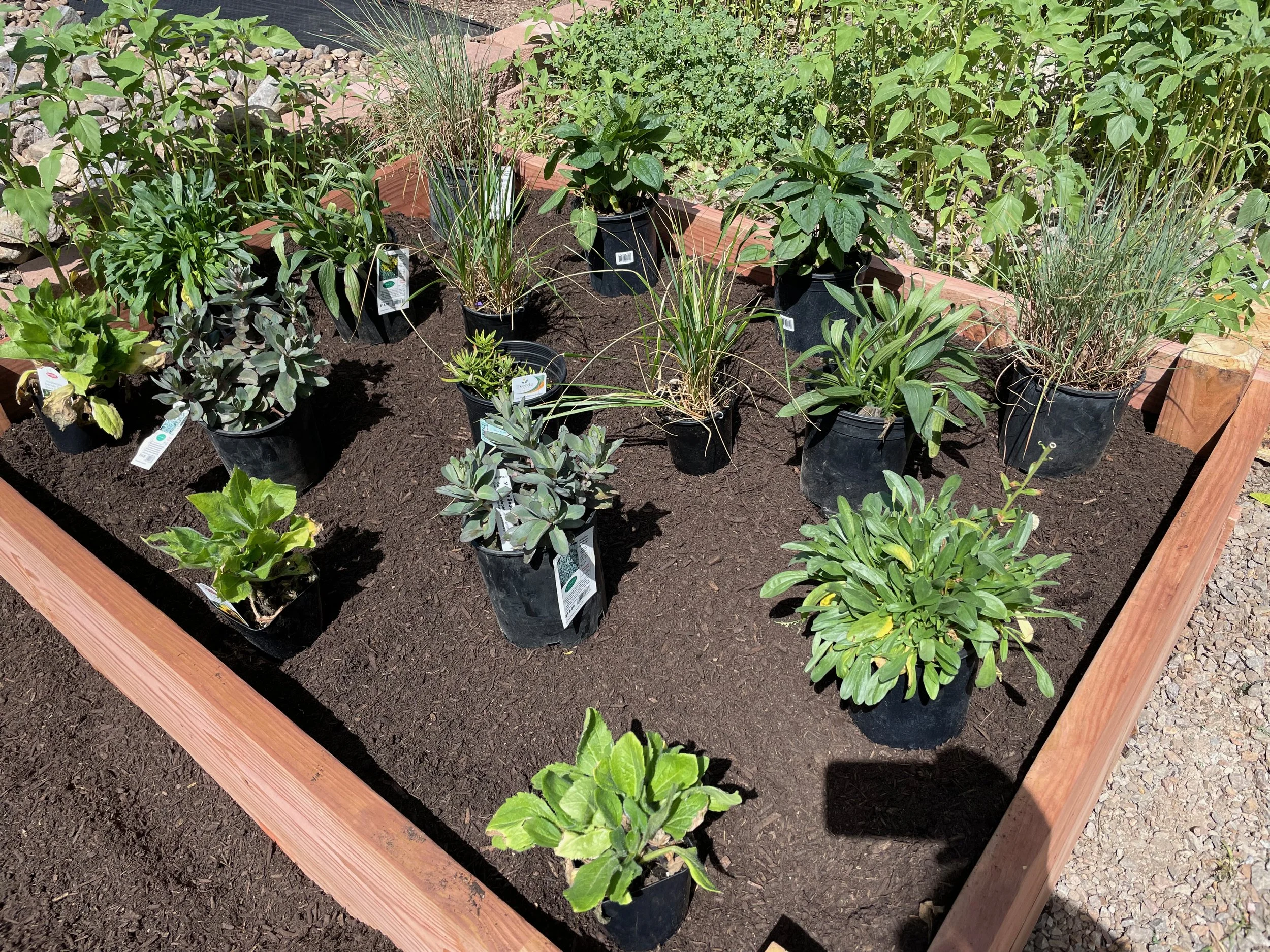 🌱 Right Plant, Right Place: How to Choose the Perfect Plants for Your ...