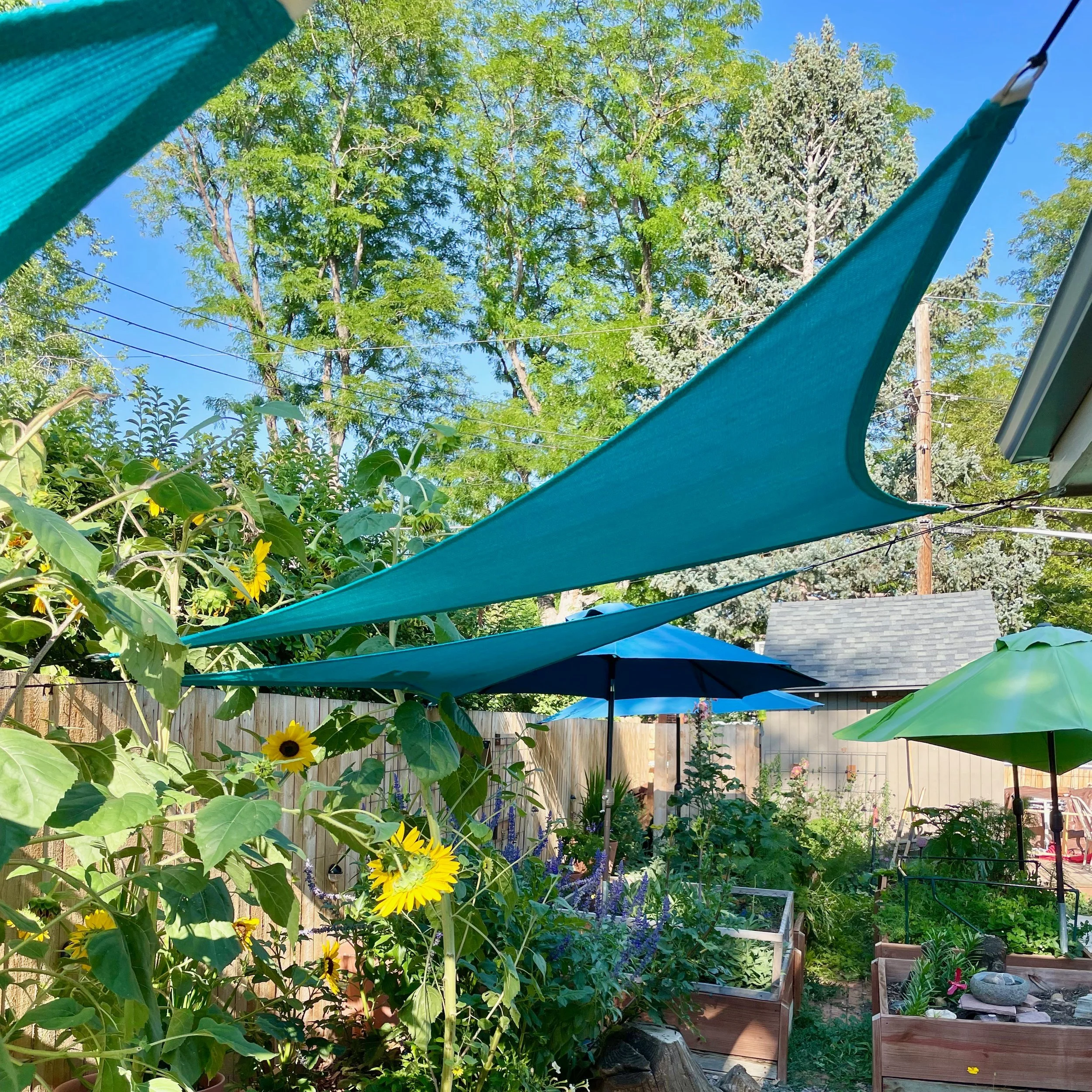 9 Effective Ways to Create Shade in Your Backyard: Simple Solutions for ...