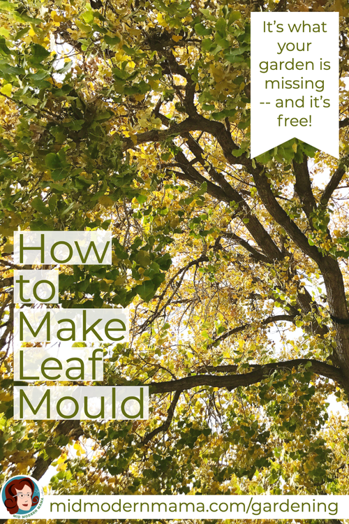 How to Make Leaf Mould: Easy Steps for Creating Rich, Organic Garden ...