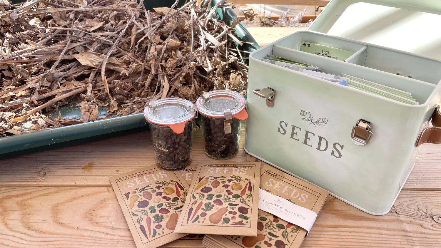 How to Store Seeds Properly: Tips for Long-Lasting Seed Preservation ...
