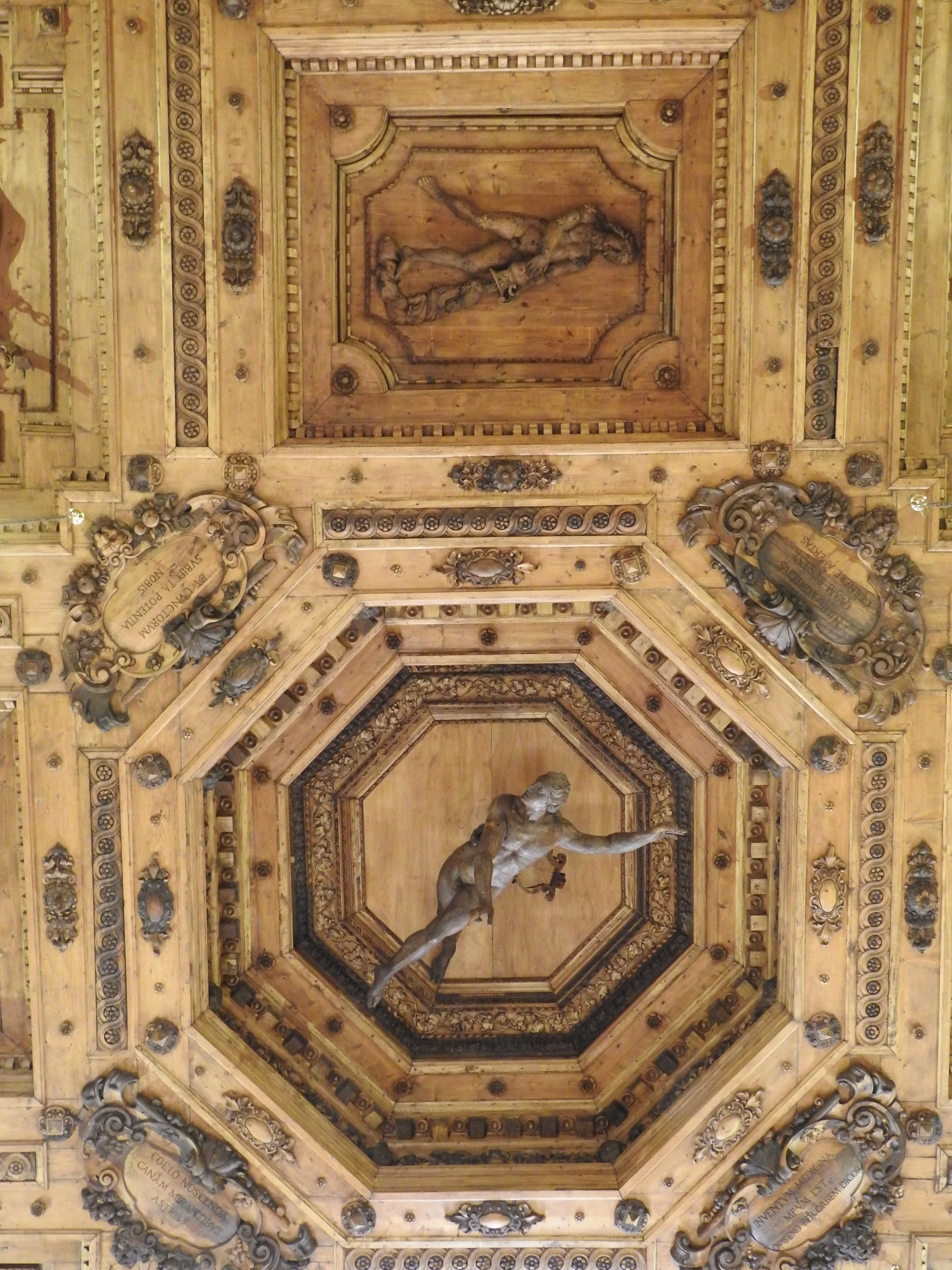 Anatomical Theater, Bologna — Renée DeVoe Mertz