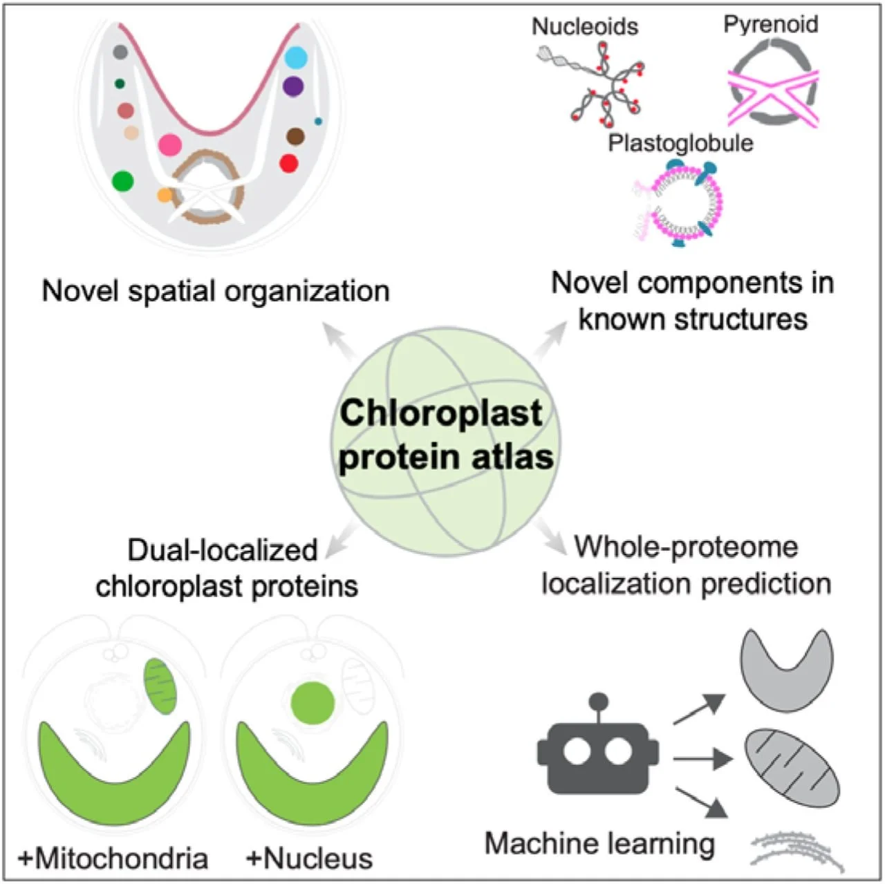 Publications — Jonikas Lab