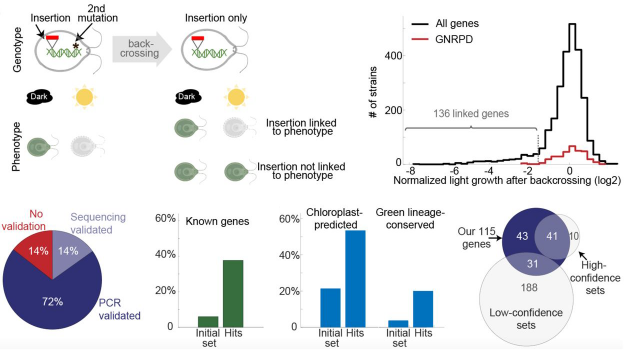 Publications — Jonikas Lab