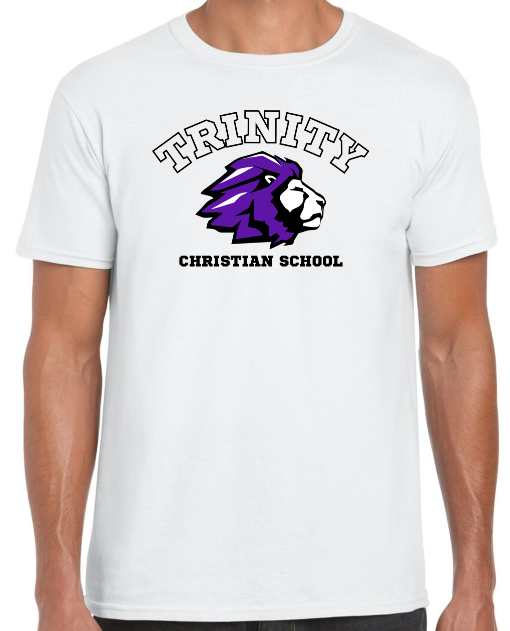 Trinity Arched over Lion Head Christian Graphic Design Youth & Adult ...