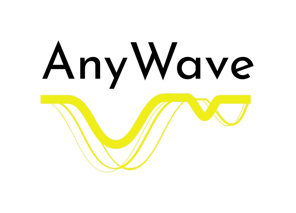 Software — INS