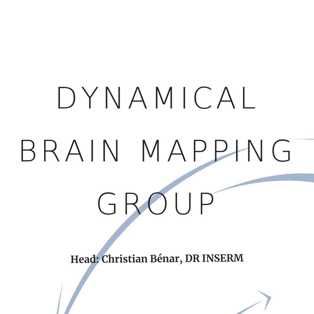 Research Groups — INS