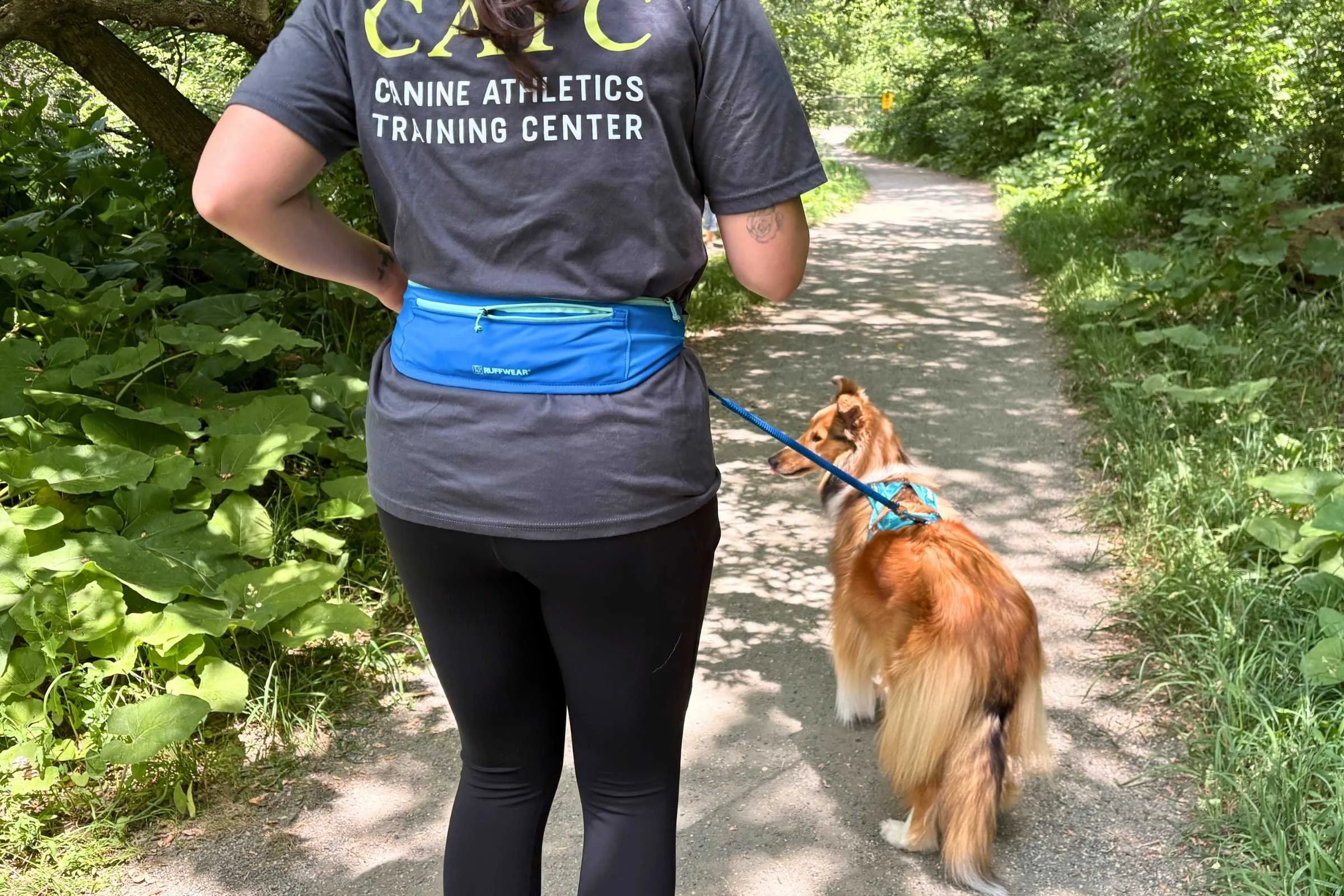 A Complete Guide to Running with Your Dog: Tips, Gear, and Training Advice