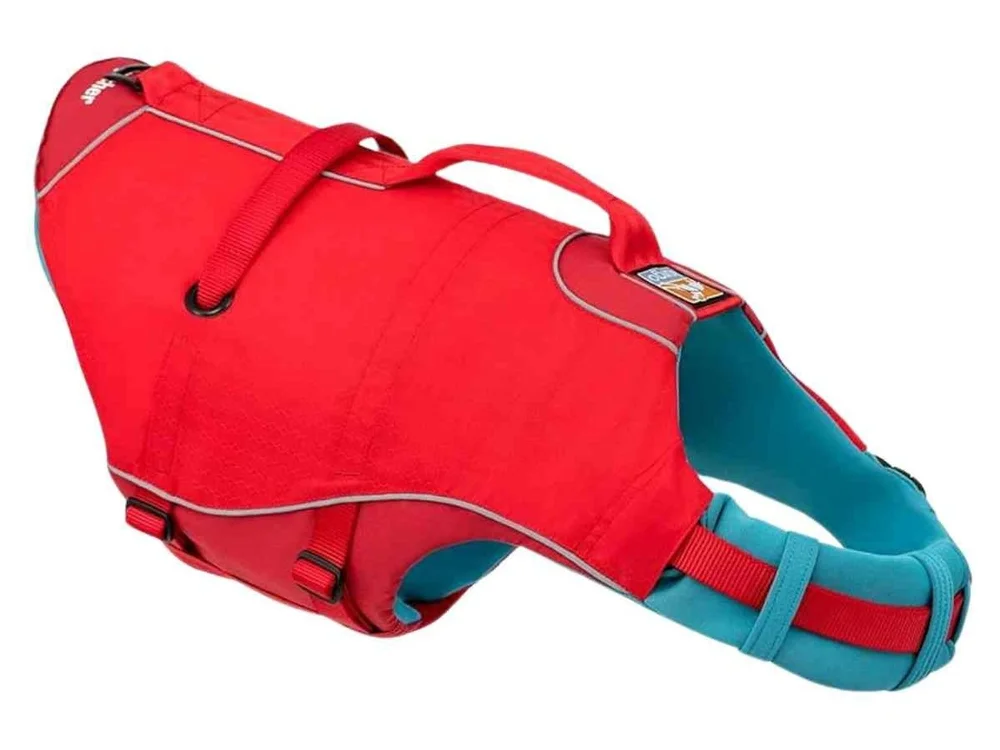 4 Best Dog Life Jackets of 2025 (Tested & Reviewed)