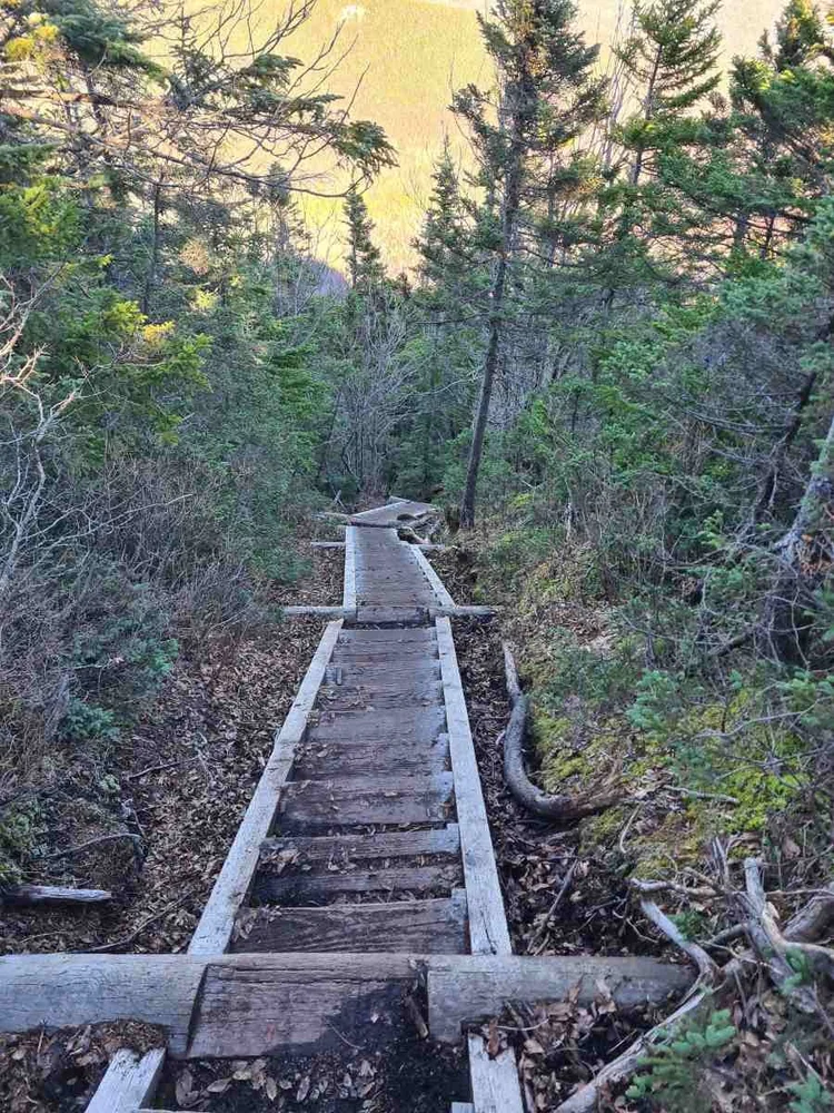 Pemigewasset Loop (Pemi Loop) Hiking and Backpacking Guide