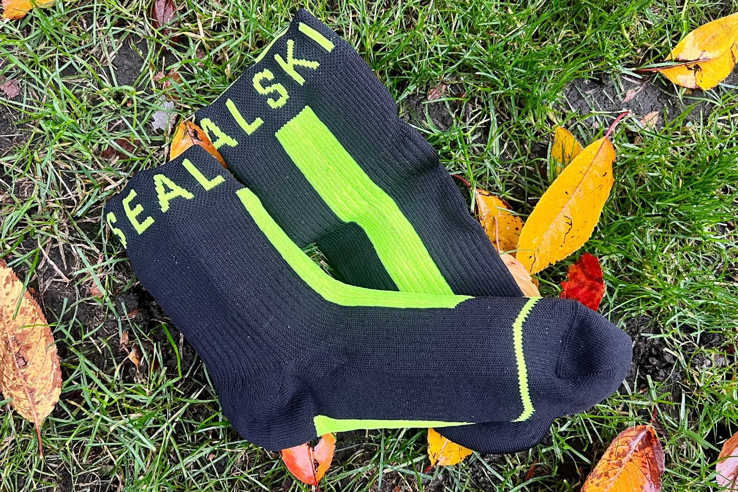 4 Best Waterproof Socks of 2025/26 (Tested & Reviewed)