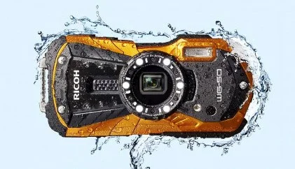Best Rugged Cameras – Waterproof, Shockproof, Freezeproof — Treeline Review