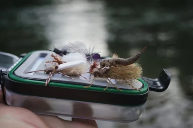 4 Best Beginner Fly Fishing Combos of 2024 (Tested)