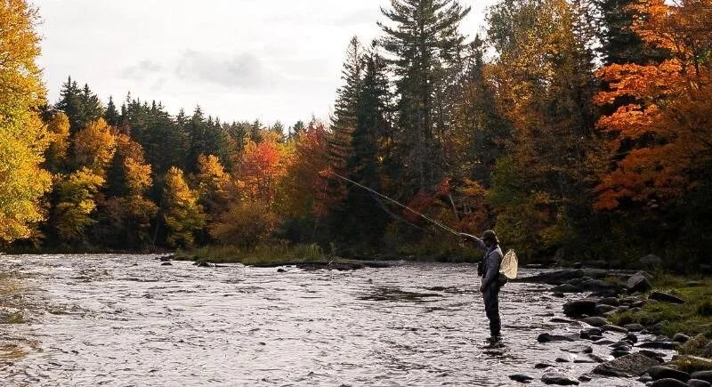 Best Beginner Fly Fishing Combos for 2023 — Treeline Review