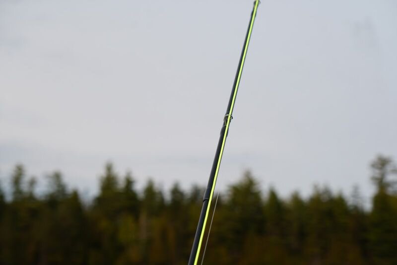 Best Beginner Fly Fishing Combos for 2023 — Treeline Review