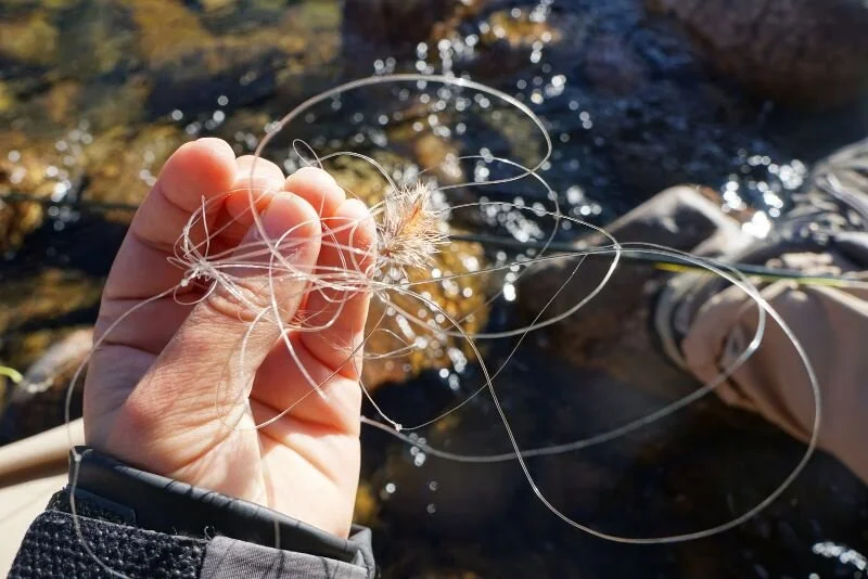 Best Beginner Fly Fishing Combos for 2023 — Treeline Review