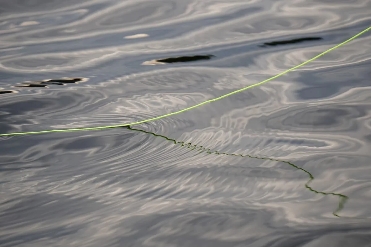 Best Beginner Fly Fishing Combos for 2023 — Treeline Review