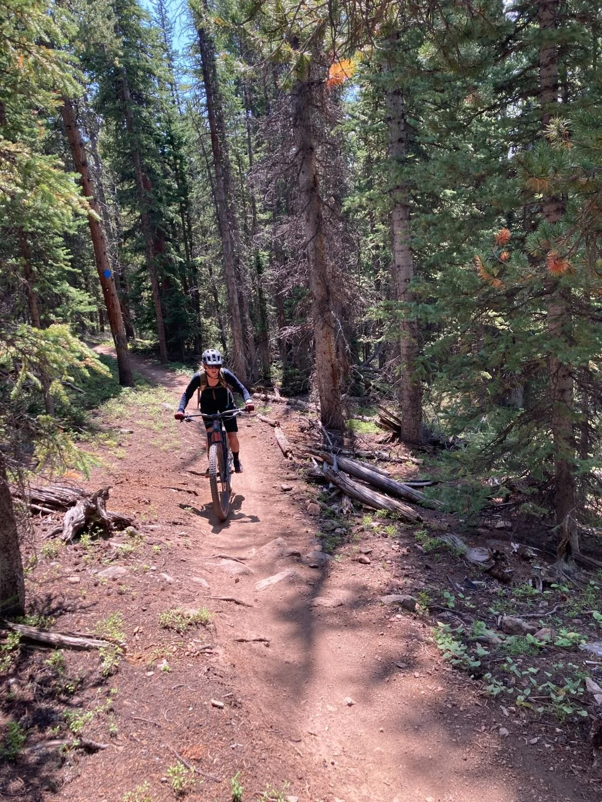 Mountain Biking For Beginners