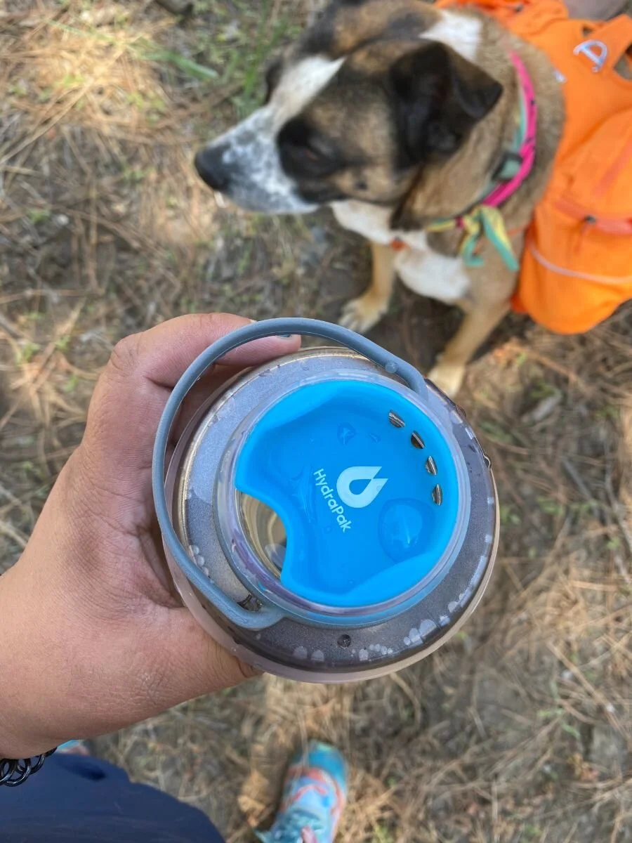 The Best Water Bottles for Hiking — Treeline Review