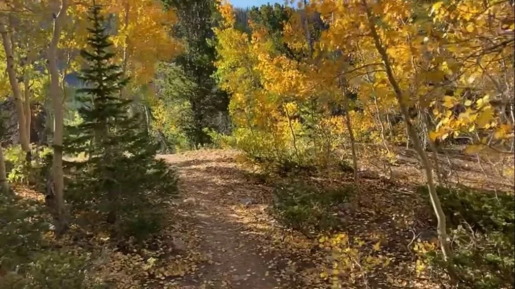 Backpacking the Colorado Collegiate Loop — Treeline Review