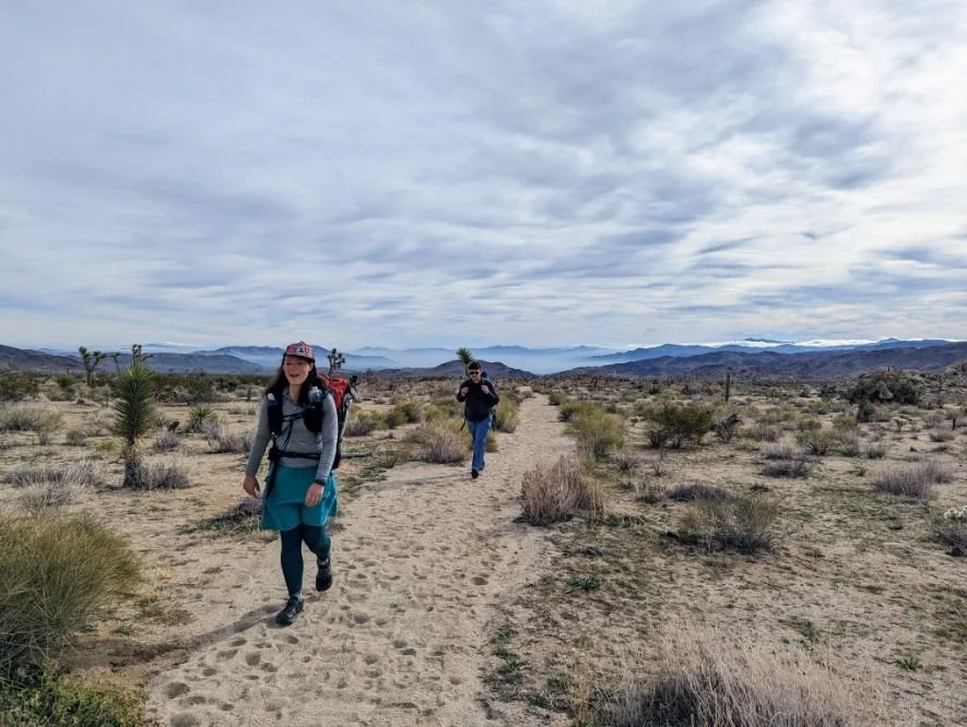 Hiking and Backpacking the California Riding Hiking Trail in Joshua ...