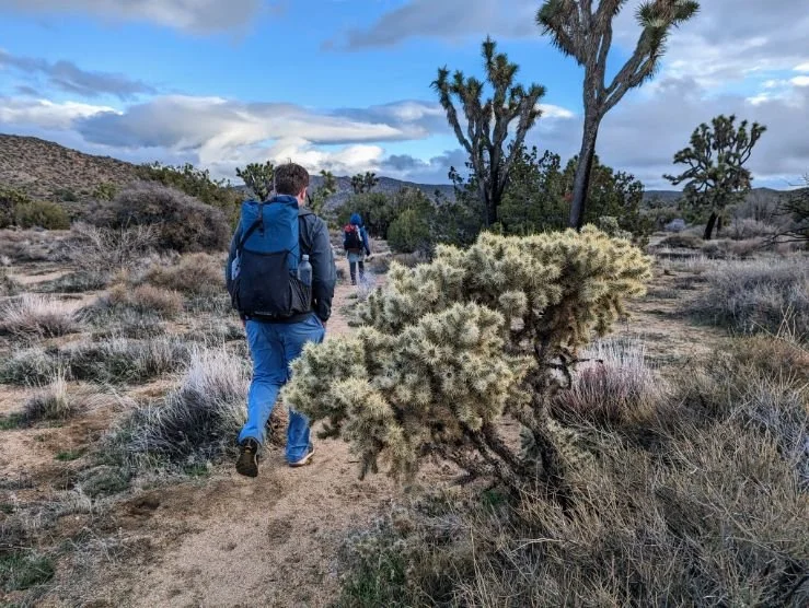 Hiking and Backpacking the California Riding Hiking Trail in Joshua ...