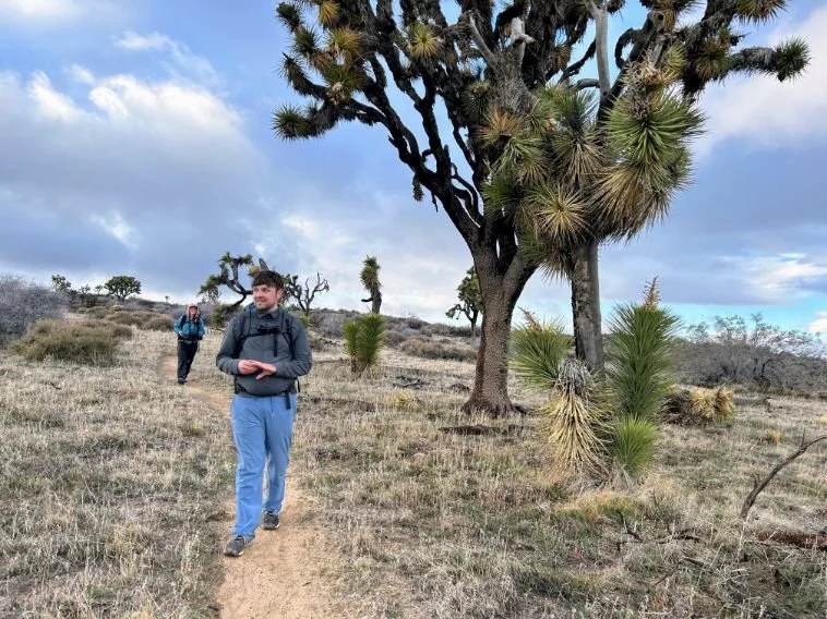 Hiking and Backpacking the California Riding Hiking Trail in Joshua ...