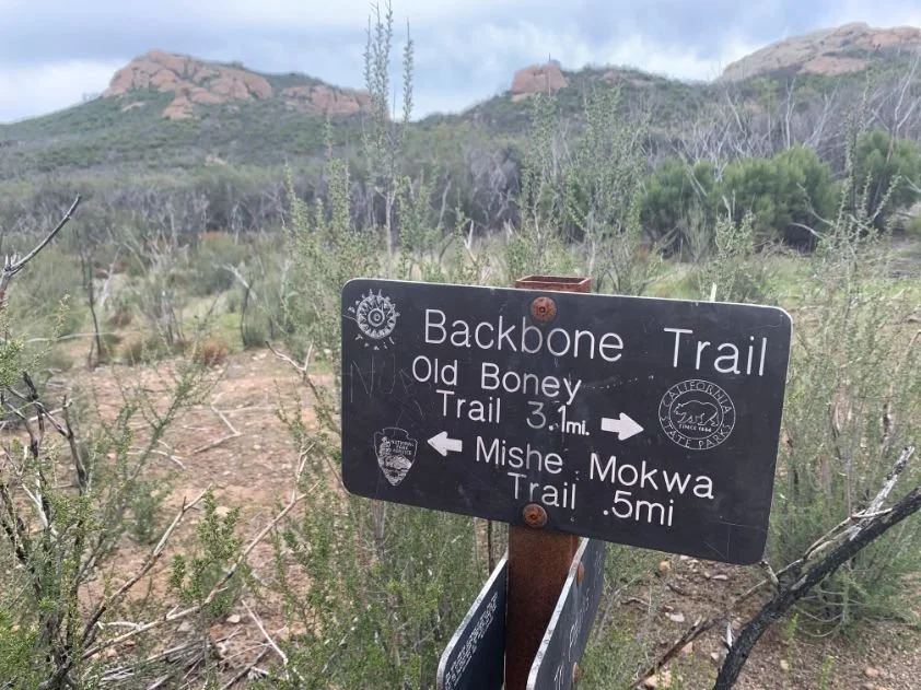 Backpacking the Santa Monica Mountains’ Backbone Trail — Treeline Review