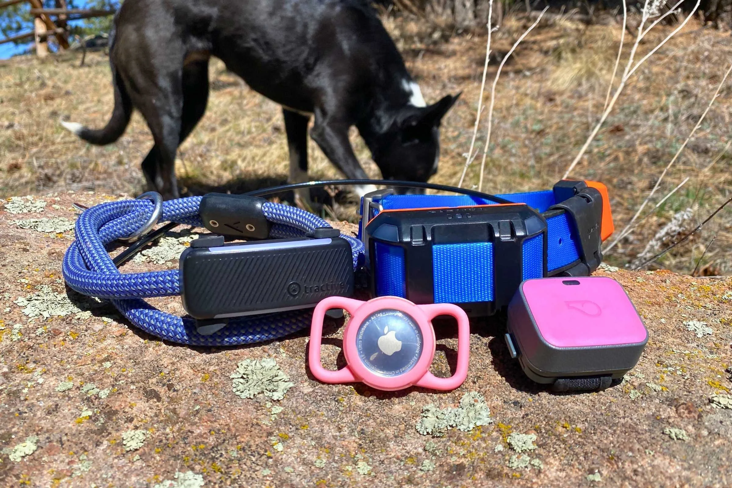 Outdoor Gear for Dogs