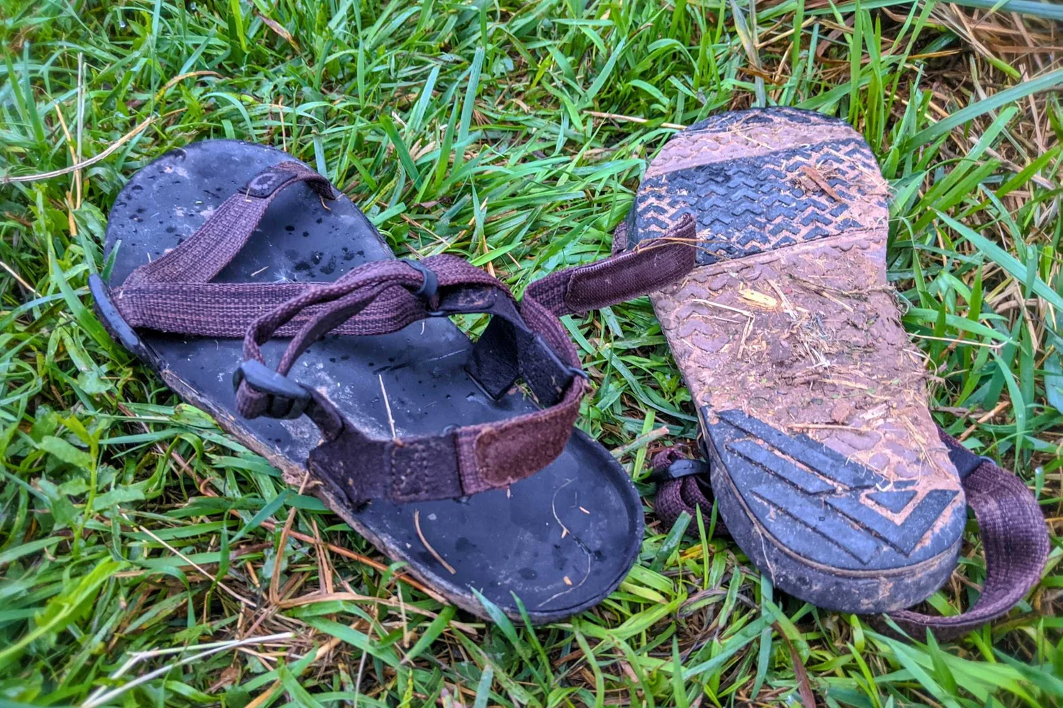 5 Best Hiking Sandals of 2026 (Trail-Tested)
