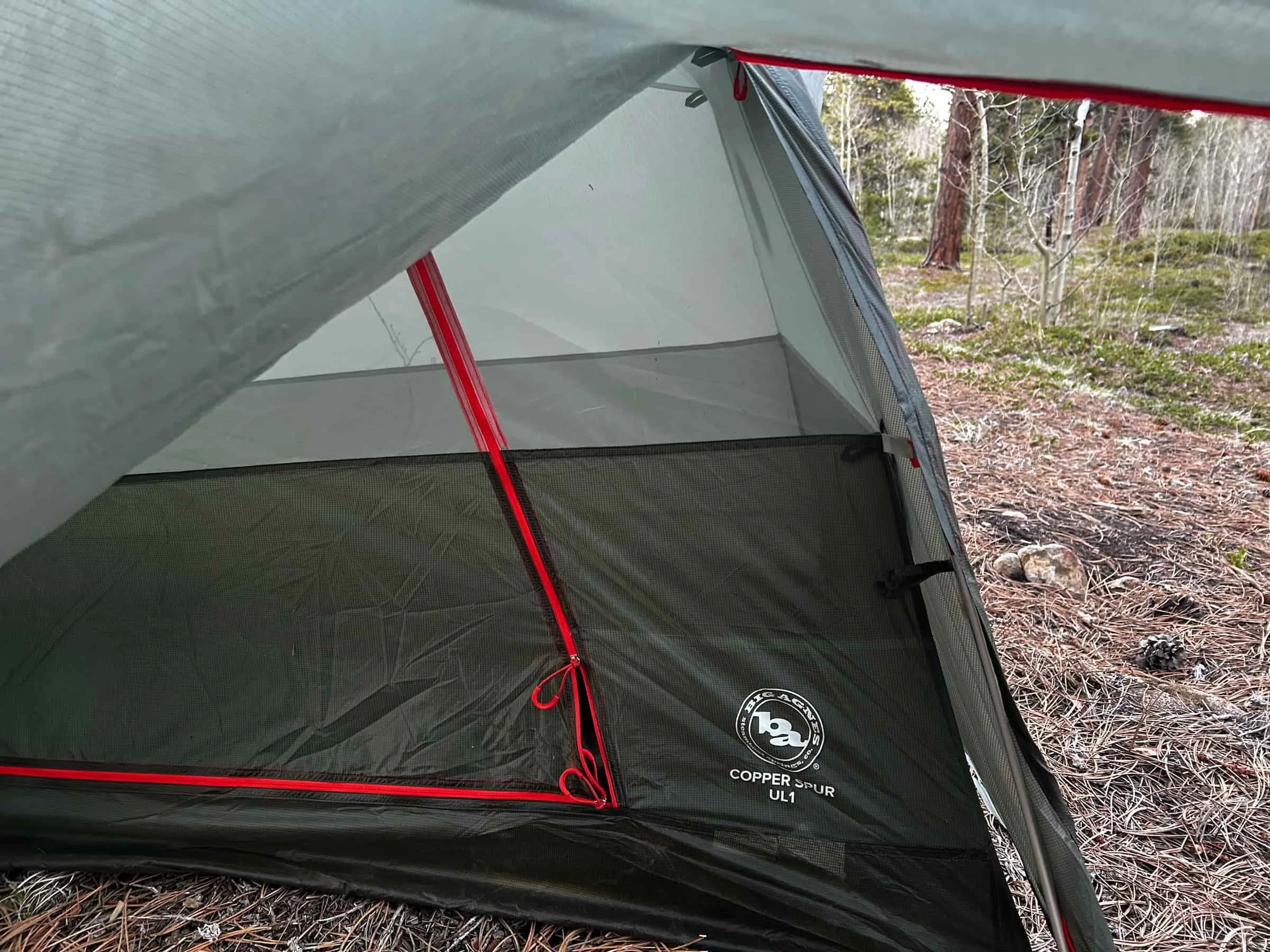 9 Best Backpacking Tents of 2025 (Field-Tested)
