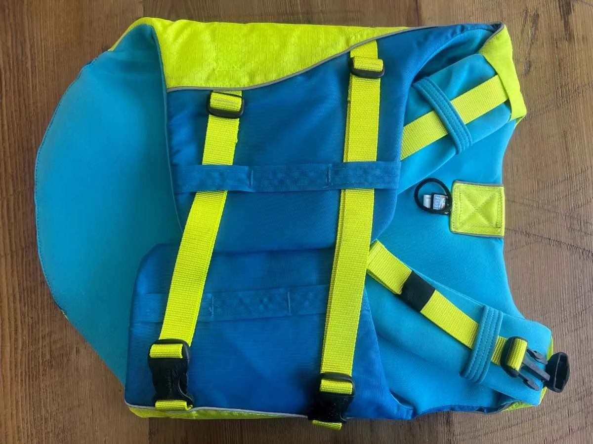 4 Best Dog Life Jackets of 2025 (Tested & Reviewed)