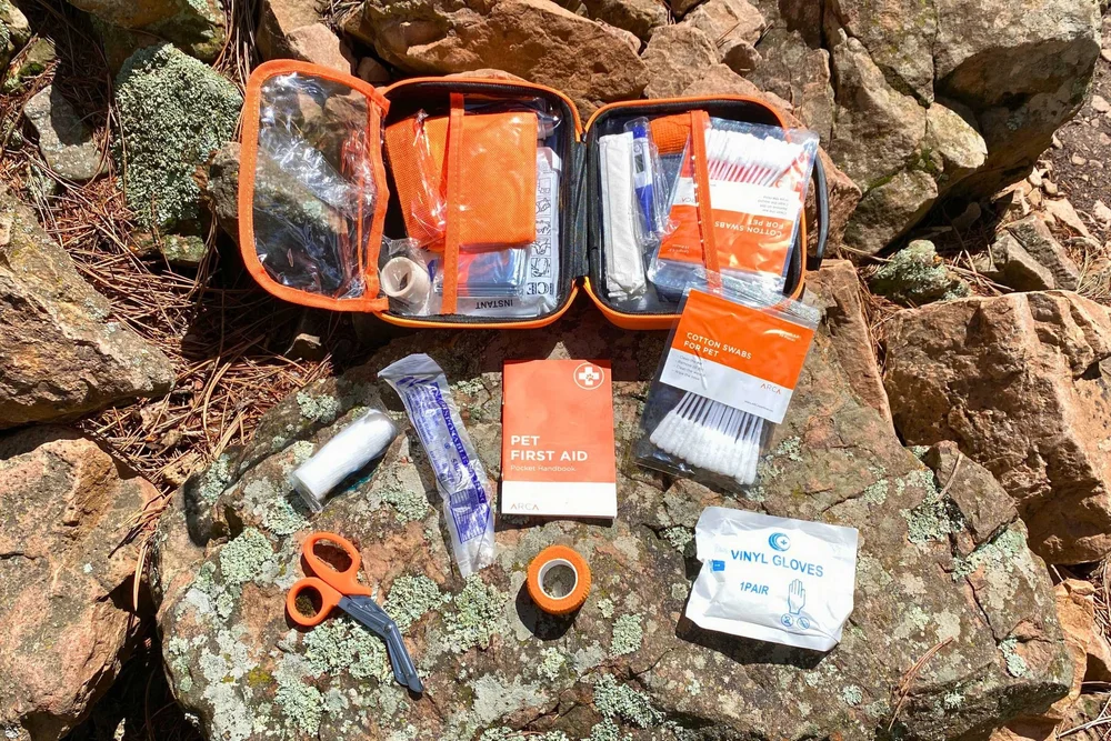 4 Best Dog First Aid Kits of 2025 (Field-Tested)