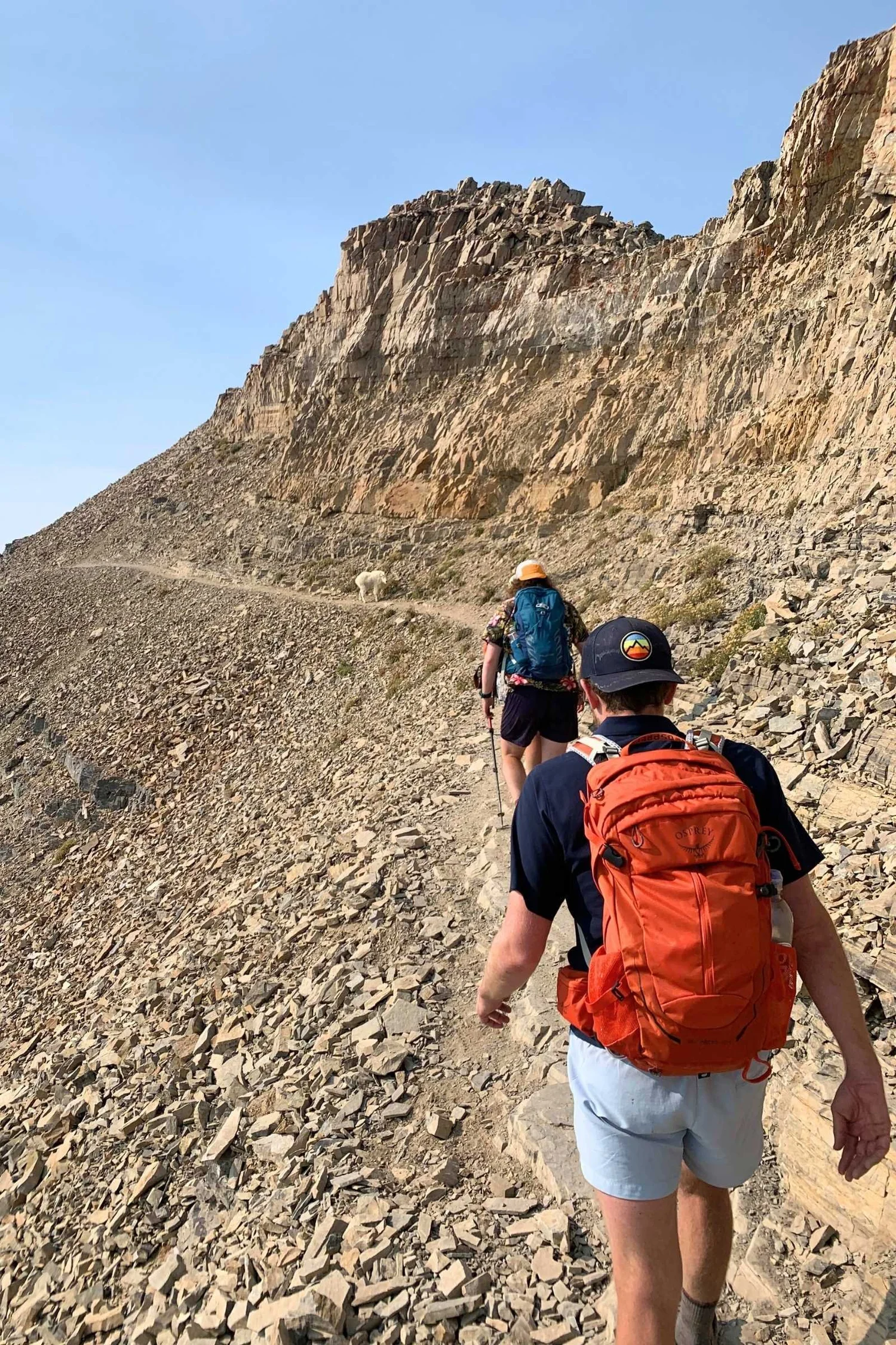 8 Best Day Hiking Backpacks (Tested & Reviewed)