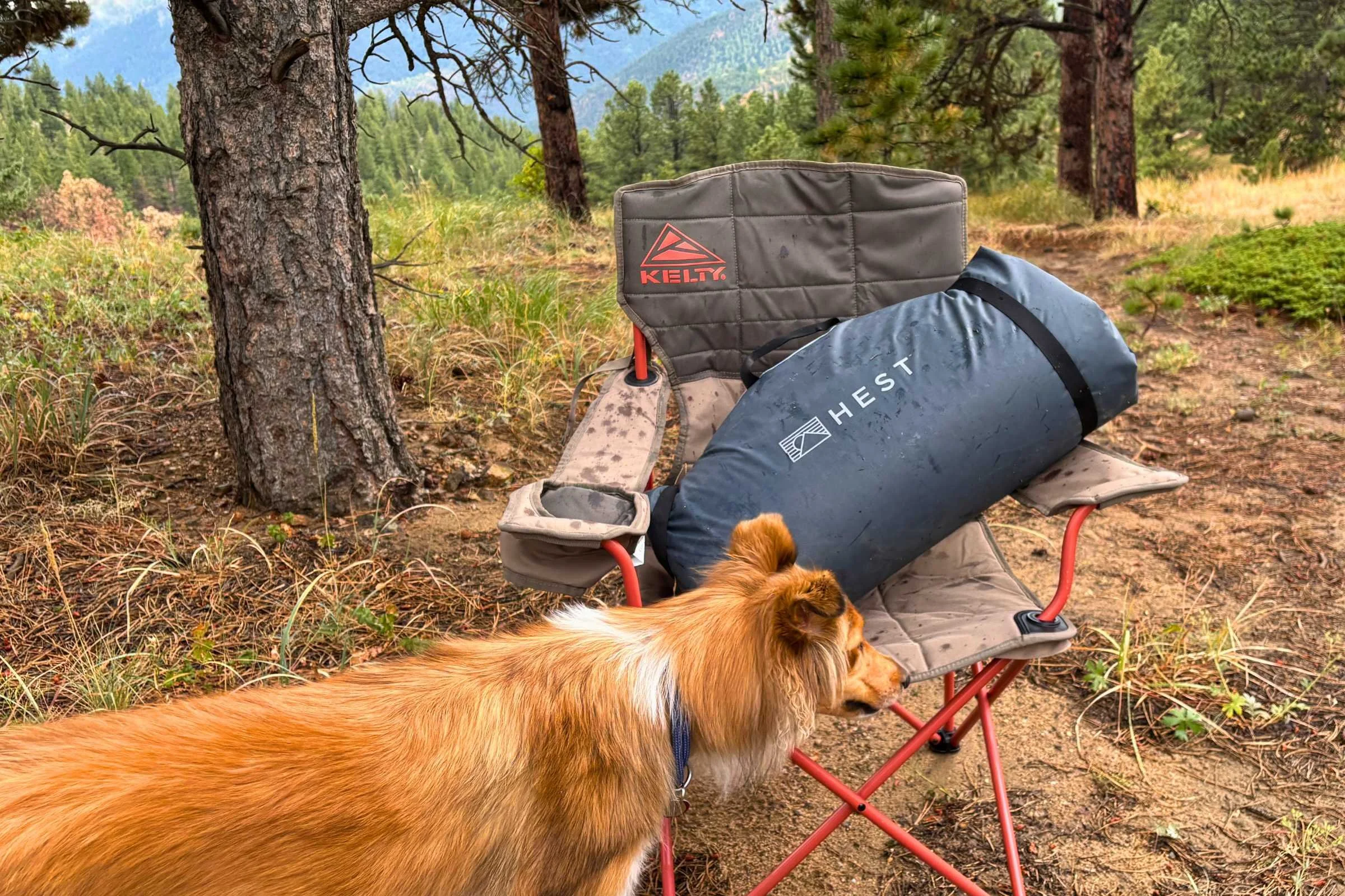 6 Best Camping Dog Beds of 2026 (Field-Tested)